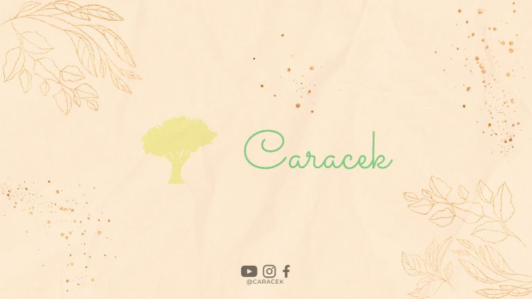 Logo Undira: Mengenal Logo Universitas Djuanda Bogor - Caracek