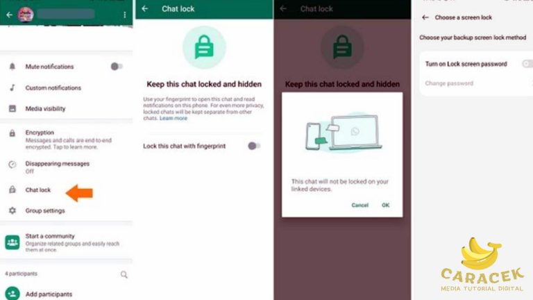 Begini Cara Kunci Chat WA dan Sembunyikannya - Caracek